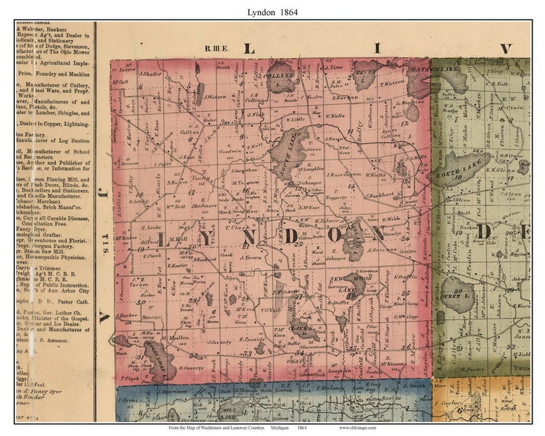 Lyndon 1864 Old Town Map With Homeowner Names - Michigan - Reprint ...