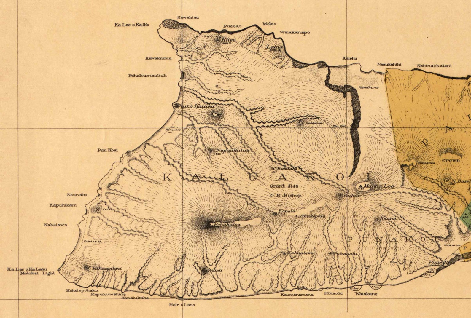 Map of Molokai 1897 W.D. Alexander Hawaiian Islands - Etsy