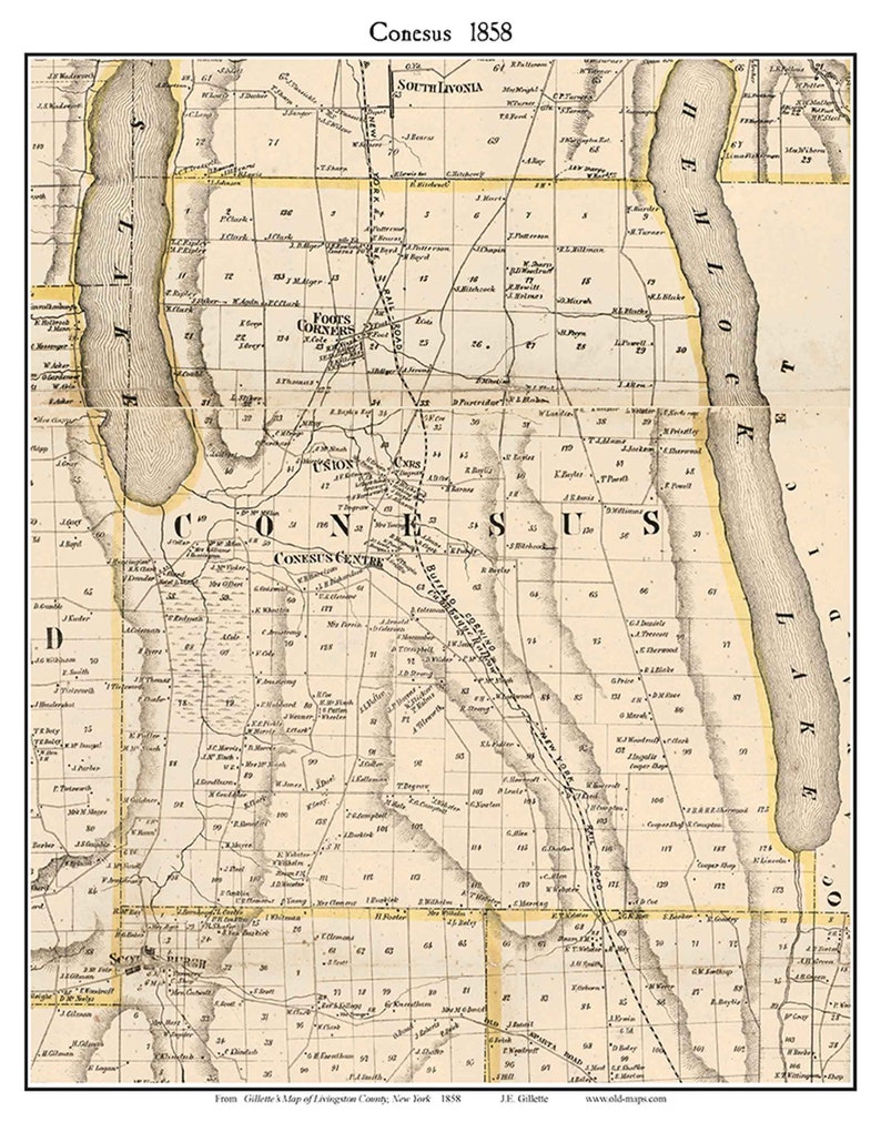 Conesus 1858 Old Town Map With Homeowner Names New York - Reprint ...