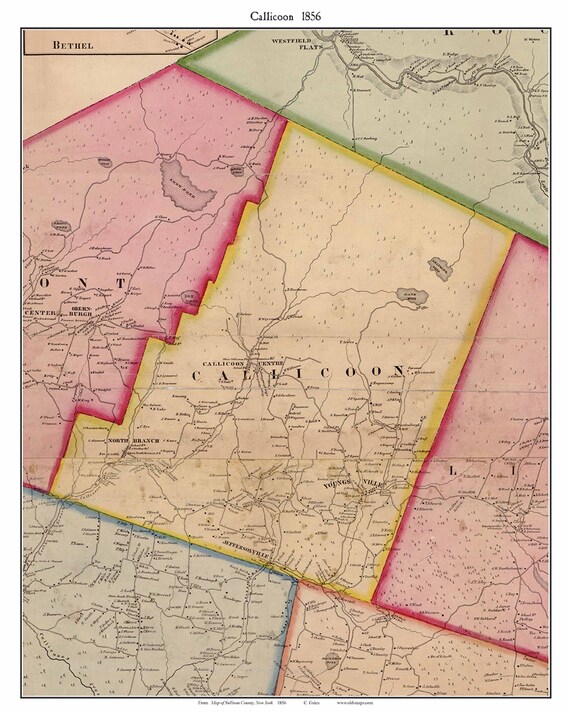 Callicoon 1856 Old Town Map With Homeowner Names New York | Etsy