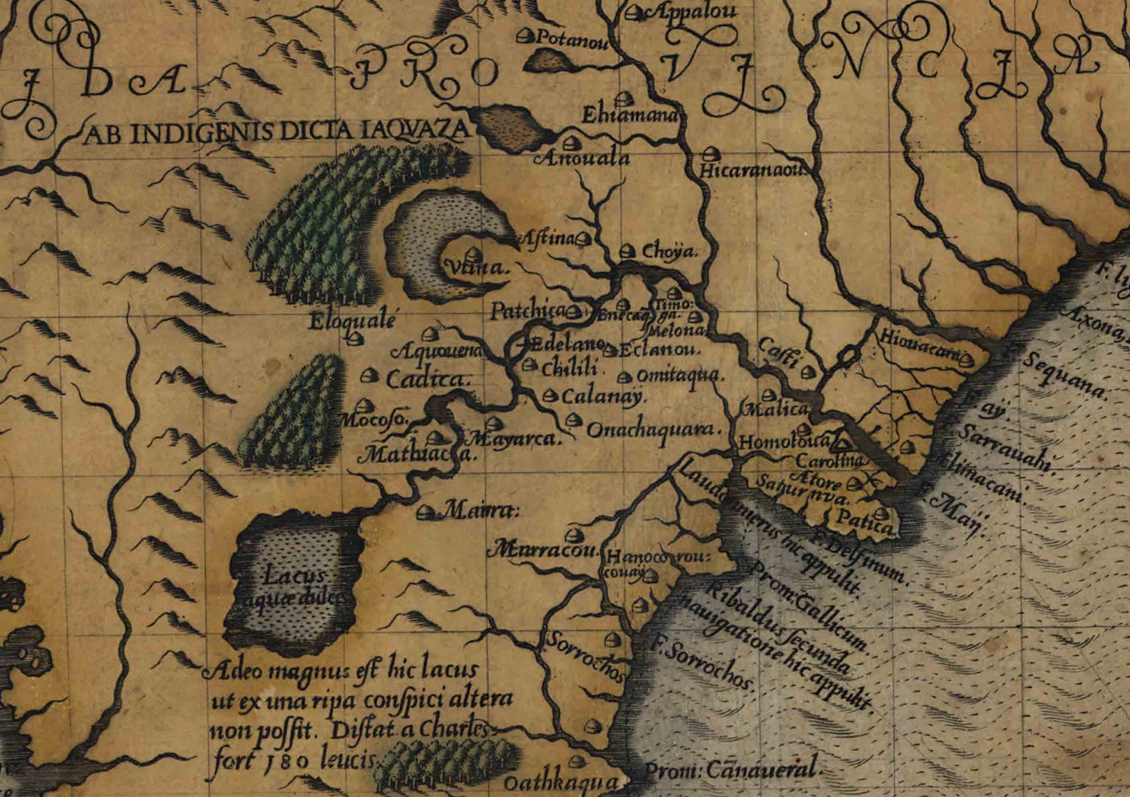 Florida 1591 State Map...sea Monster by Lemoyne De Morges | Etsy