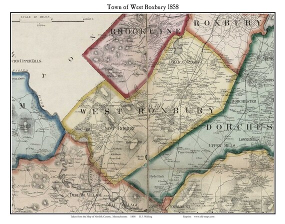 West Roxbury Massachusetts 1858 Old Town Map With Homeowner | Etsy