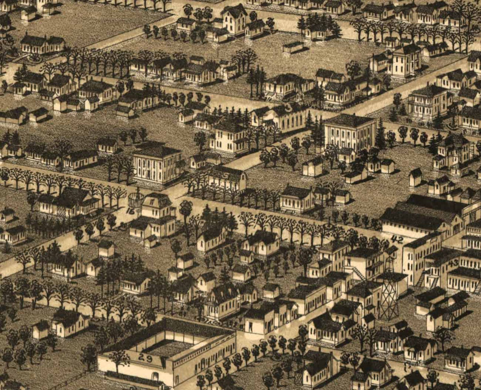 Albany Georgia - Old 1885 Birds Eye View - Reprint - Etsy
