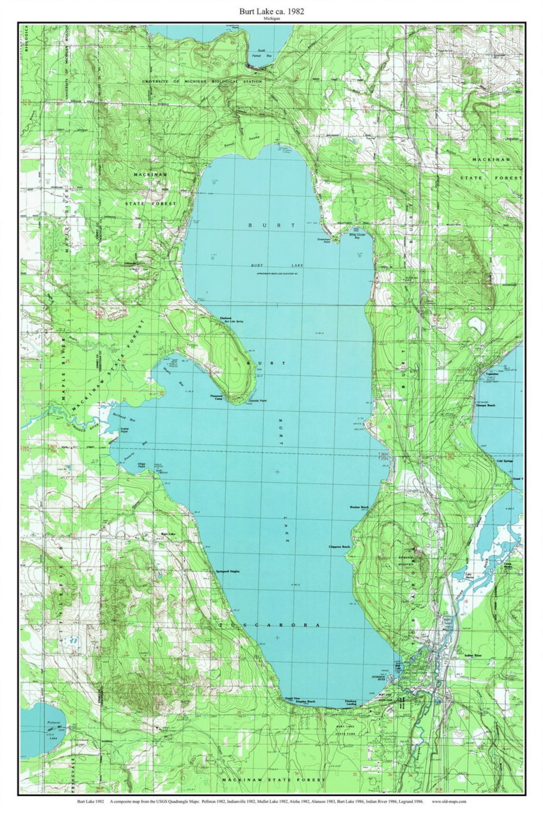 Burt Lake - 1982 Map Print - Michigan - Old Topographic USGS Custom ...