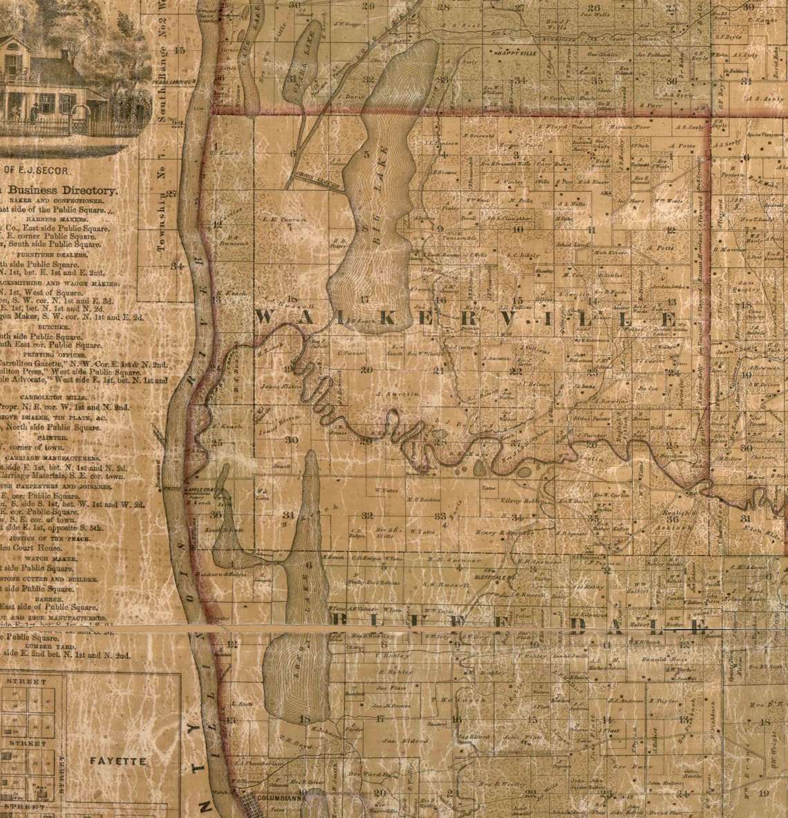 Greene County Illinois 1861 Old Wall Map Reprint With - Etsy
