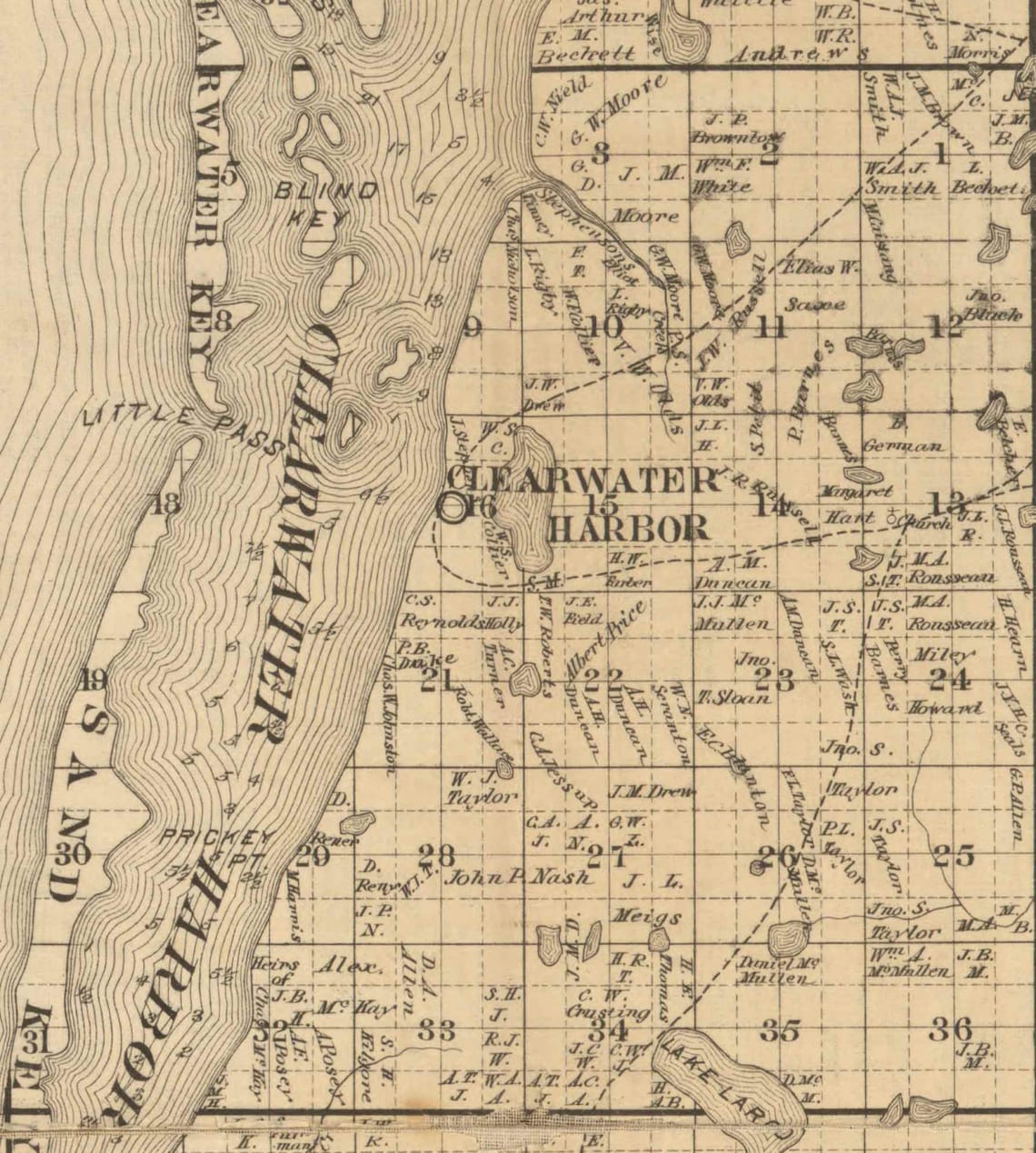 Hillsborough County Florida 1882 - Old Wall Map Reprint With Homeowner ...