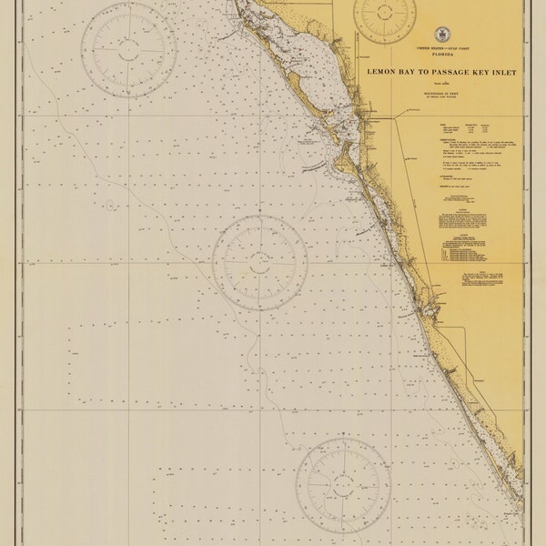 Map of Lemon Bay to Passage - Etsy
