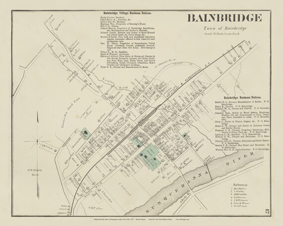 Bainbridge Village 1875 Old Map Homeowner Names Reprint | Etsy