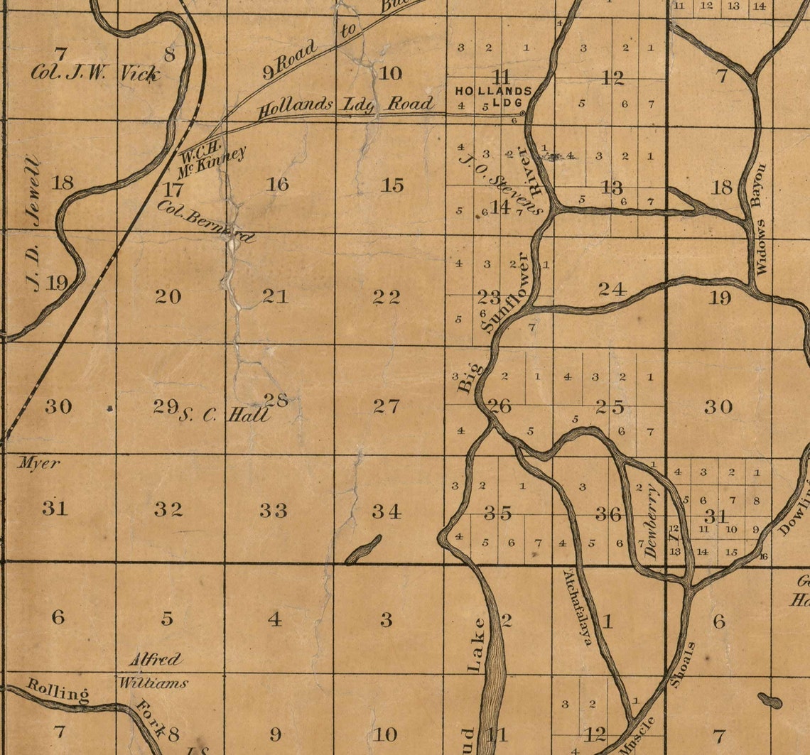 Issaquena County Mississippi 1873 Old Wall Map with | Etsy