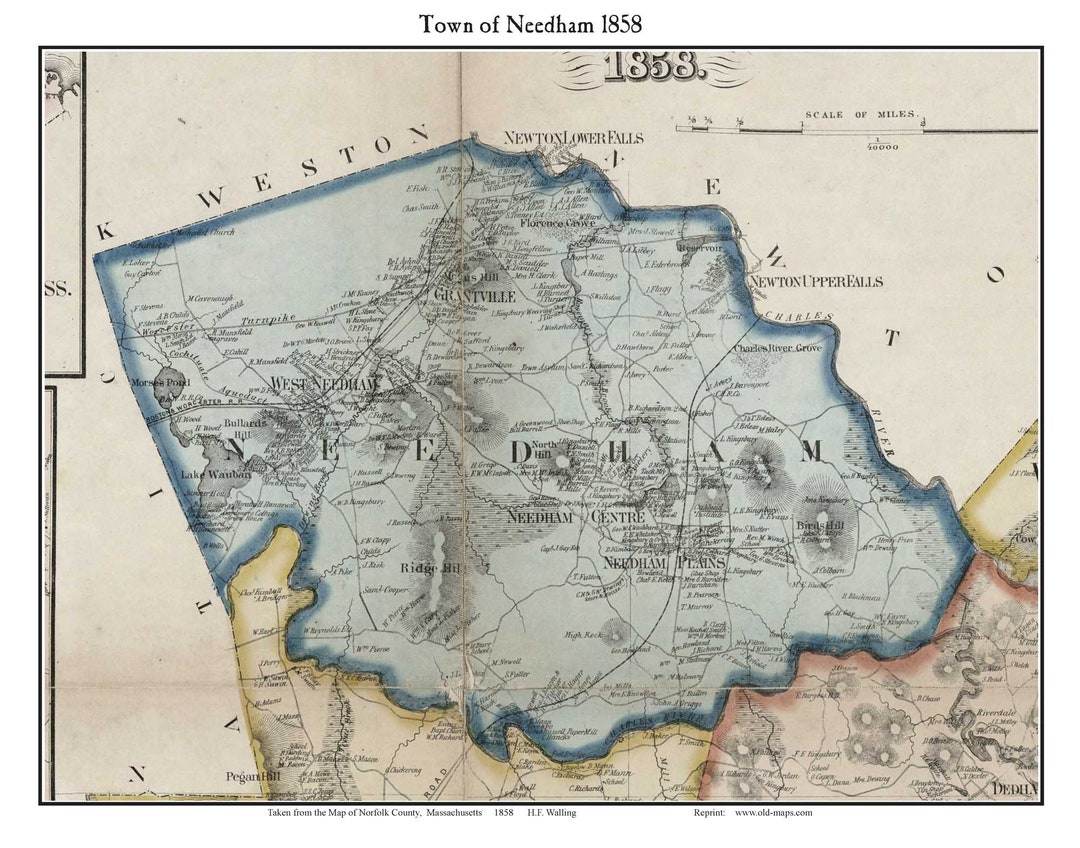 Needham, Massachusetts 1858 Old Town Map With Homeowner Names Lake ...