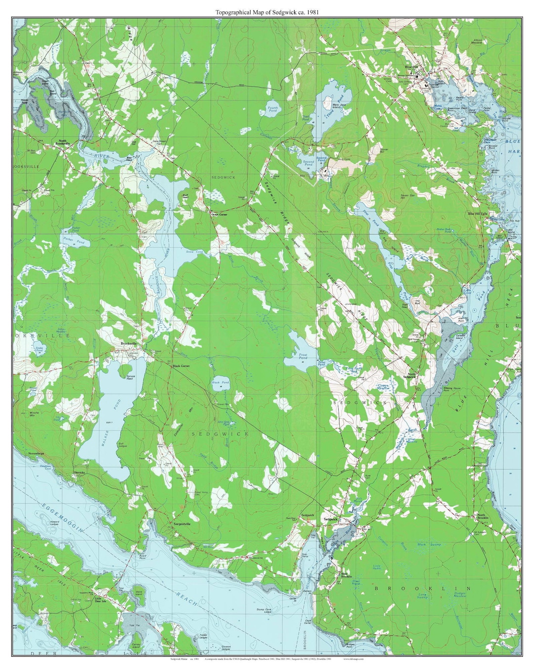 Sedgwick 1981 Topographic Map Brooksville USGS Custom Composite Reprint ...