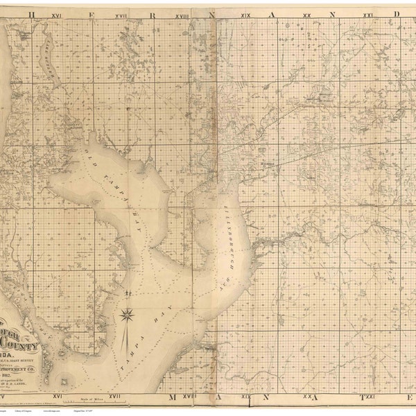 Antique Map of Tampa County - Etsy