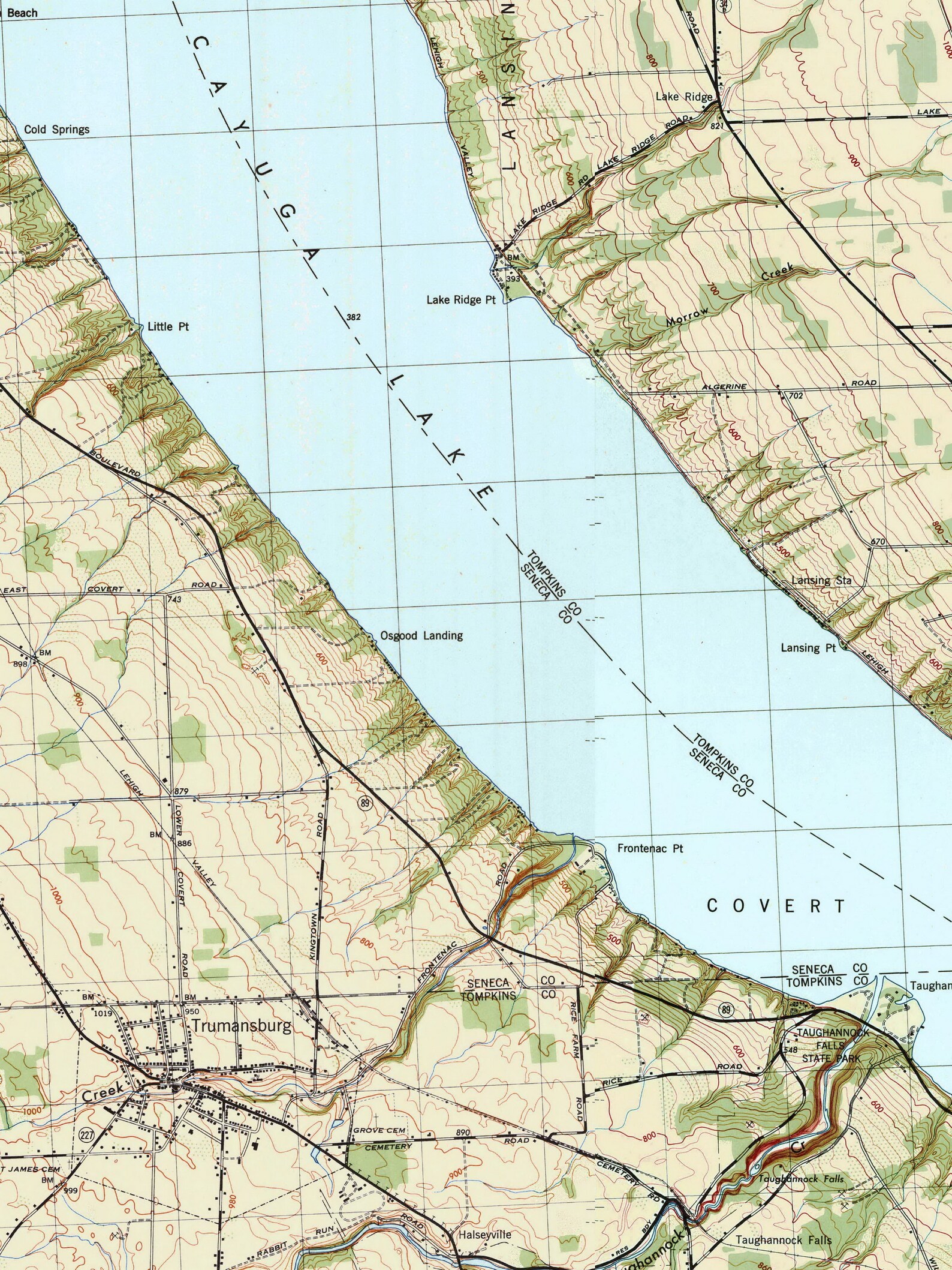Cayuga Lake blue Water Ca. 1943 USGS Old Topographic Map | Etsy