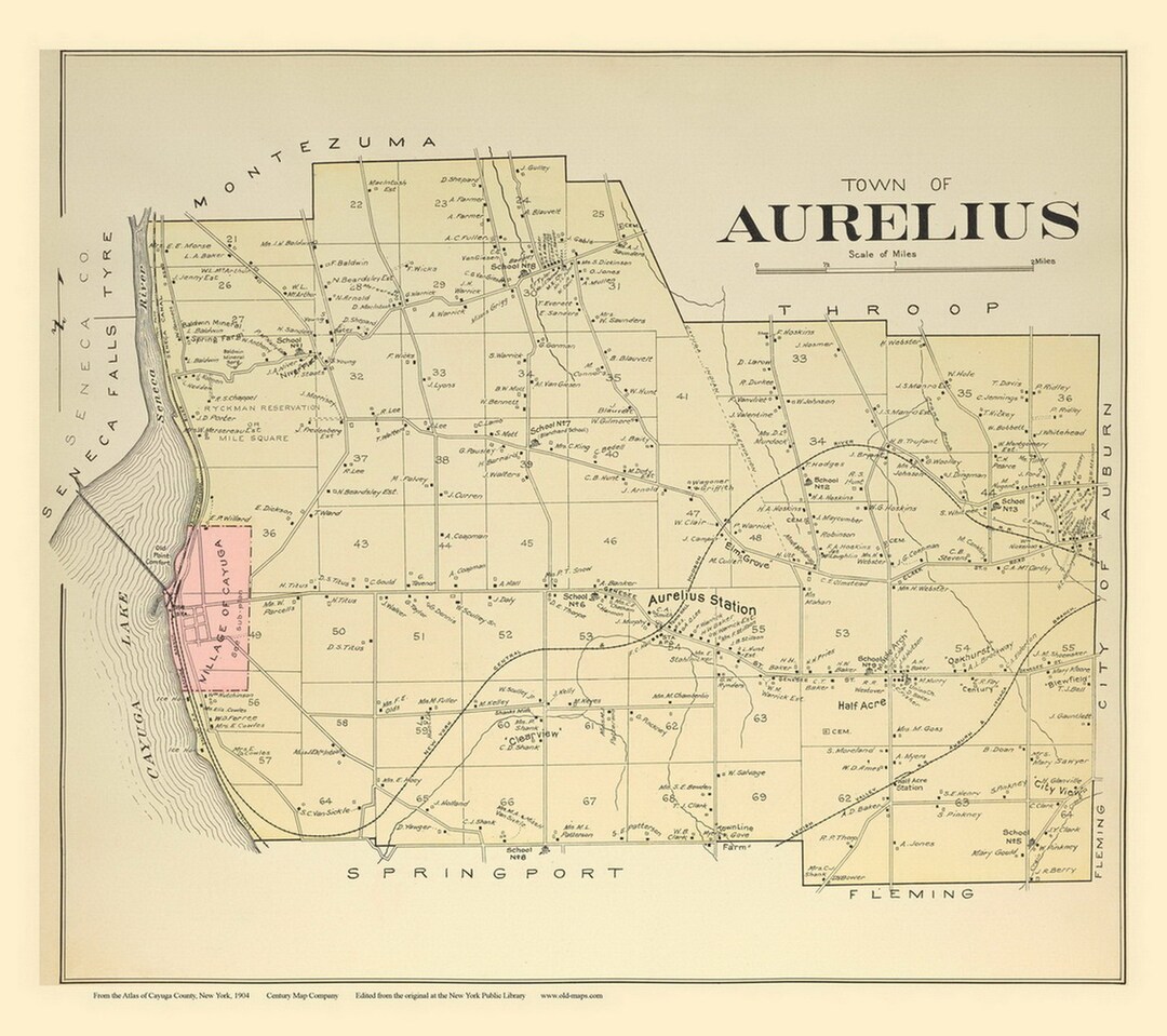 Aurelius 1904 Cayuga Lake Old Map Homeowner Names Reprint Cayuga Co New ...
