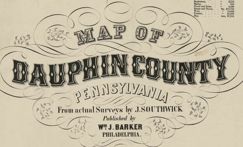 Dauphin County Pennsylvania 1858 Old Wall Map With Homeowner - Etsy