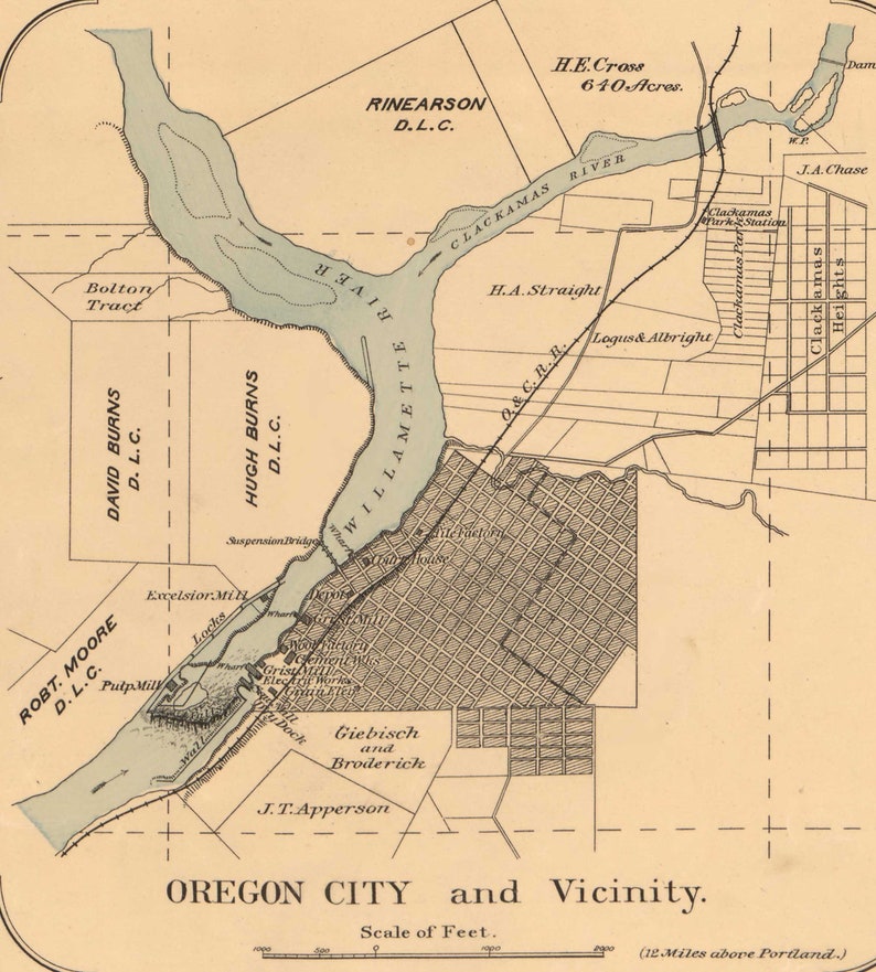Multnomah County Oregon 1889 Old Wall Map Reprint - Etsy