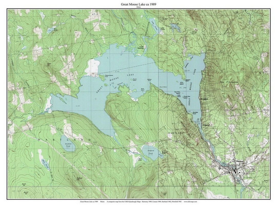 Great Moose Lake 1989 Topographic Map USGS 7x7 Custom Composite Reprint ...
