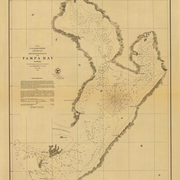 Old Tampa Bay Map - Etsy