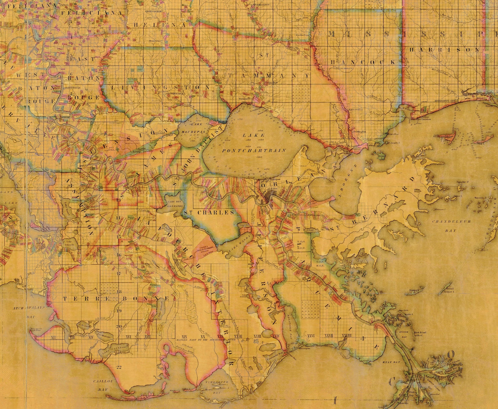 Louisiana 1853 State Map With Landowner Names Plantations - Etsy