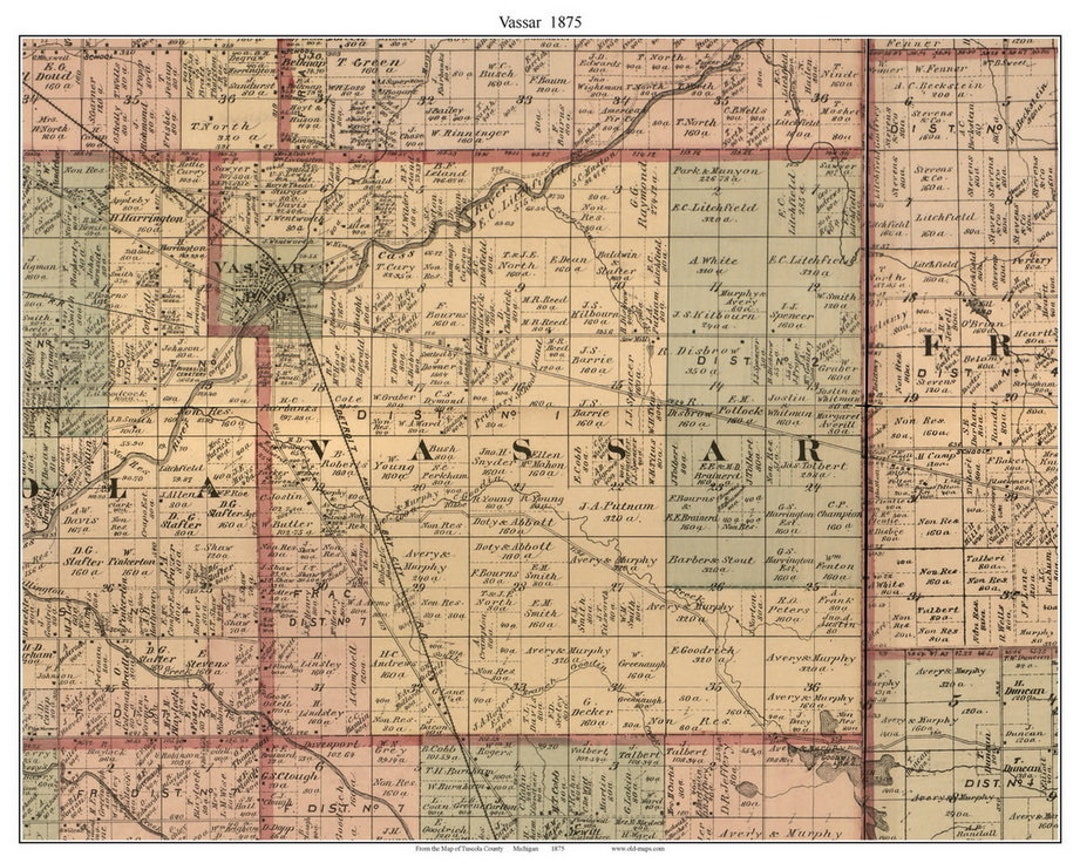 Vassar 1875 Old Town Map With Homeowner Names Michigan - Reprint ...