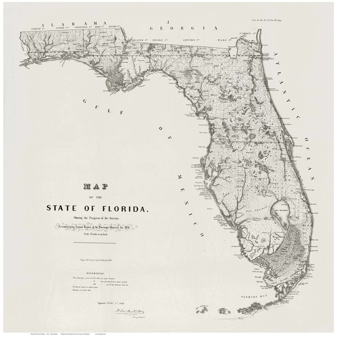 Florida 1856 State Map - by Surveyor General Westcott - Reprint - Etsy