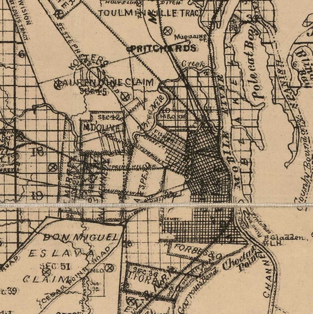 Mobile County Alabama 1895 Old Wall Map With Landowner Names - Etsy