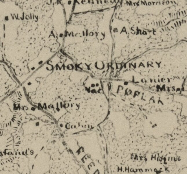 Brunswick County Virginia 1864 Old Wall Map With | Etsy