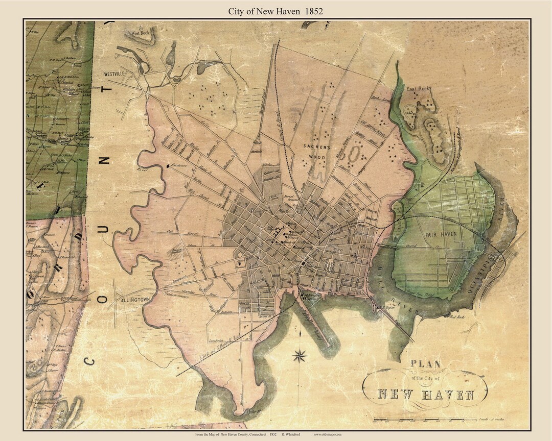 New Haven City 1852 Old Town Map With Homeowner Names Connecticut ...