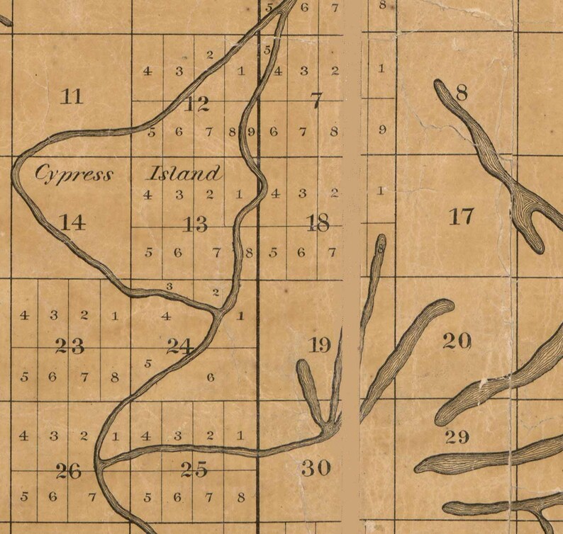 Issaquena County Mississippi 1873 Old Wall Map With | Etsy