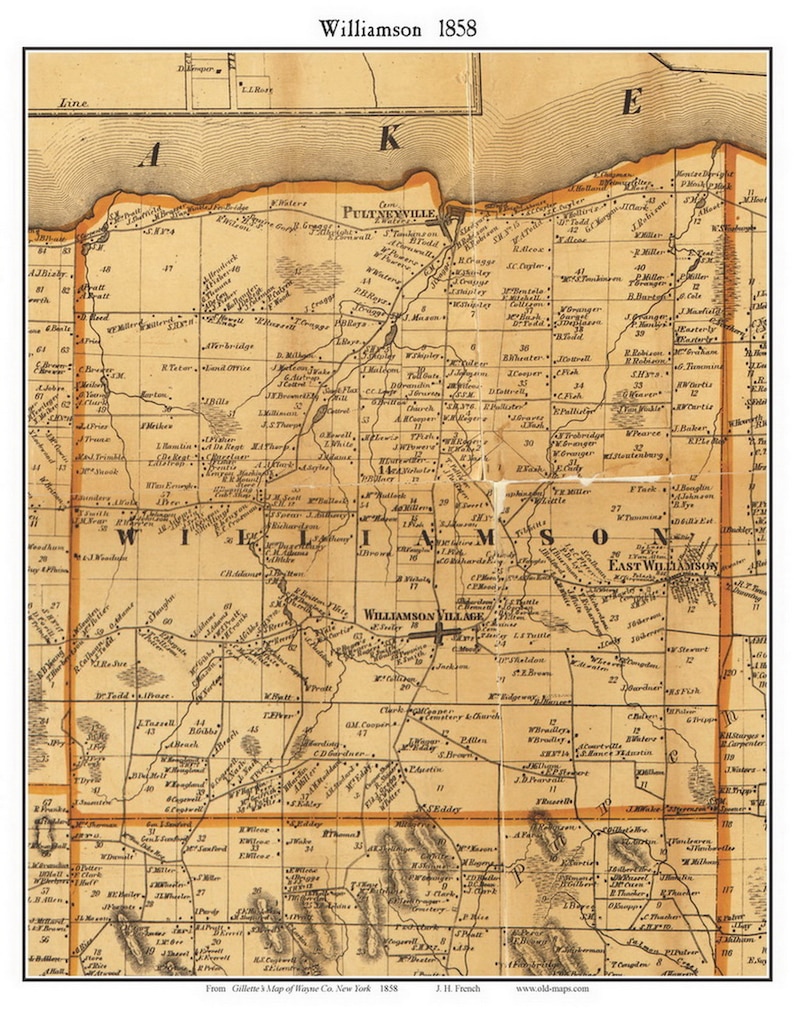 Williamson 1858 Old Town Map With Homeowner Names New York - Reprint ...