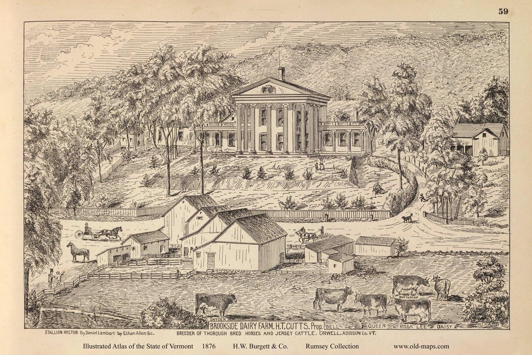 Brookside Dairy Farm 1876 - Orwell Vermont Print 25c Vt State Atlas - Etsy