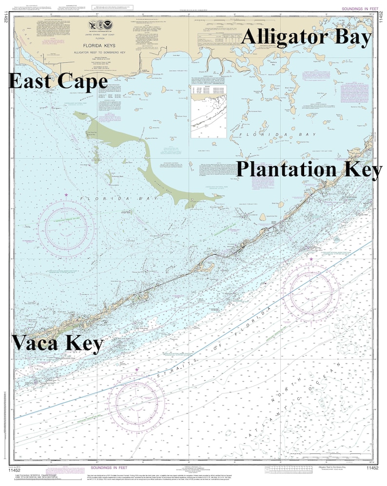 Florida Keys Alligator Reef to Sombrero Key 1921 Nautical | Etsy