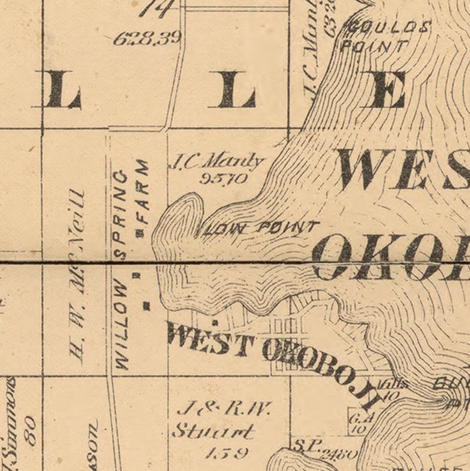 Dickinson County Iowa 1883 Old Wall Map With Landowner Names Farm Lines ...