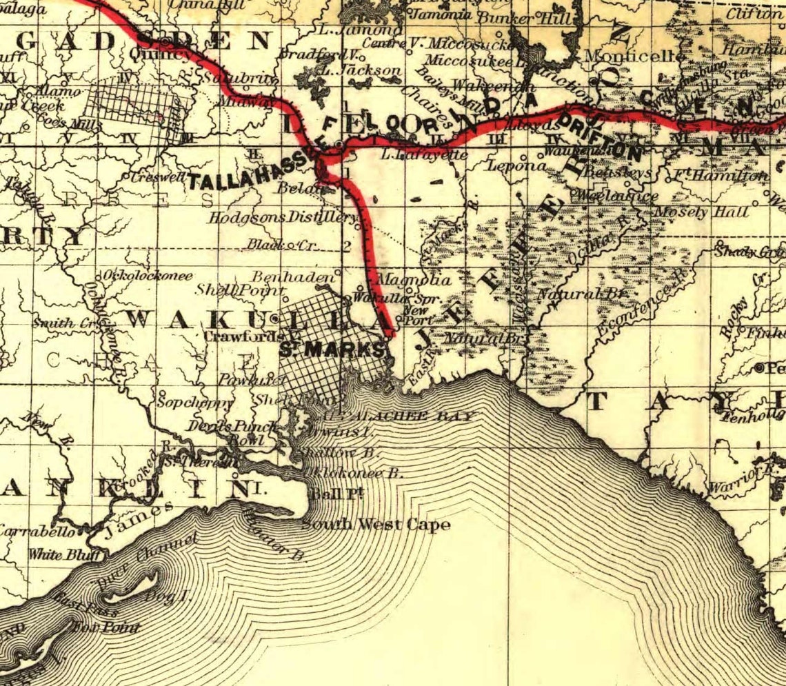 Florida 1882 State Map by Colton Reprint - Etsy