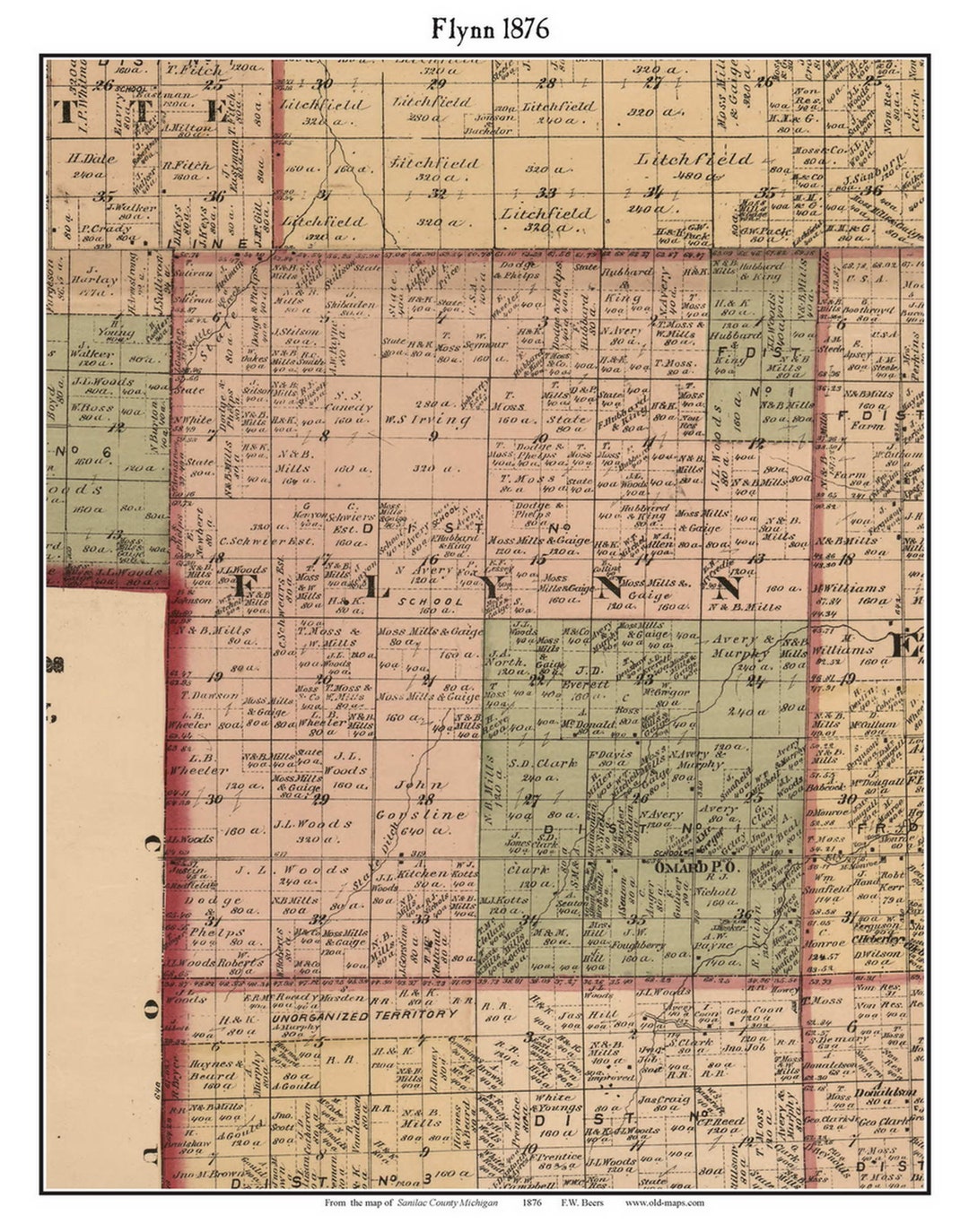 Flynn 1876 Old Town Map With Homeowner Names - Michigan - Reprint ...