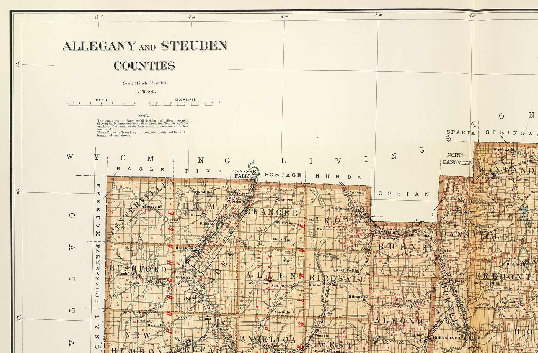 Allegany Steuben Counties 1895 Map New York Reprint Land - Etsy UK