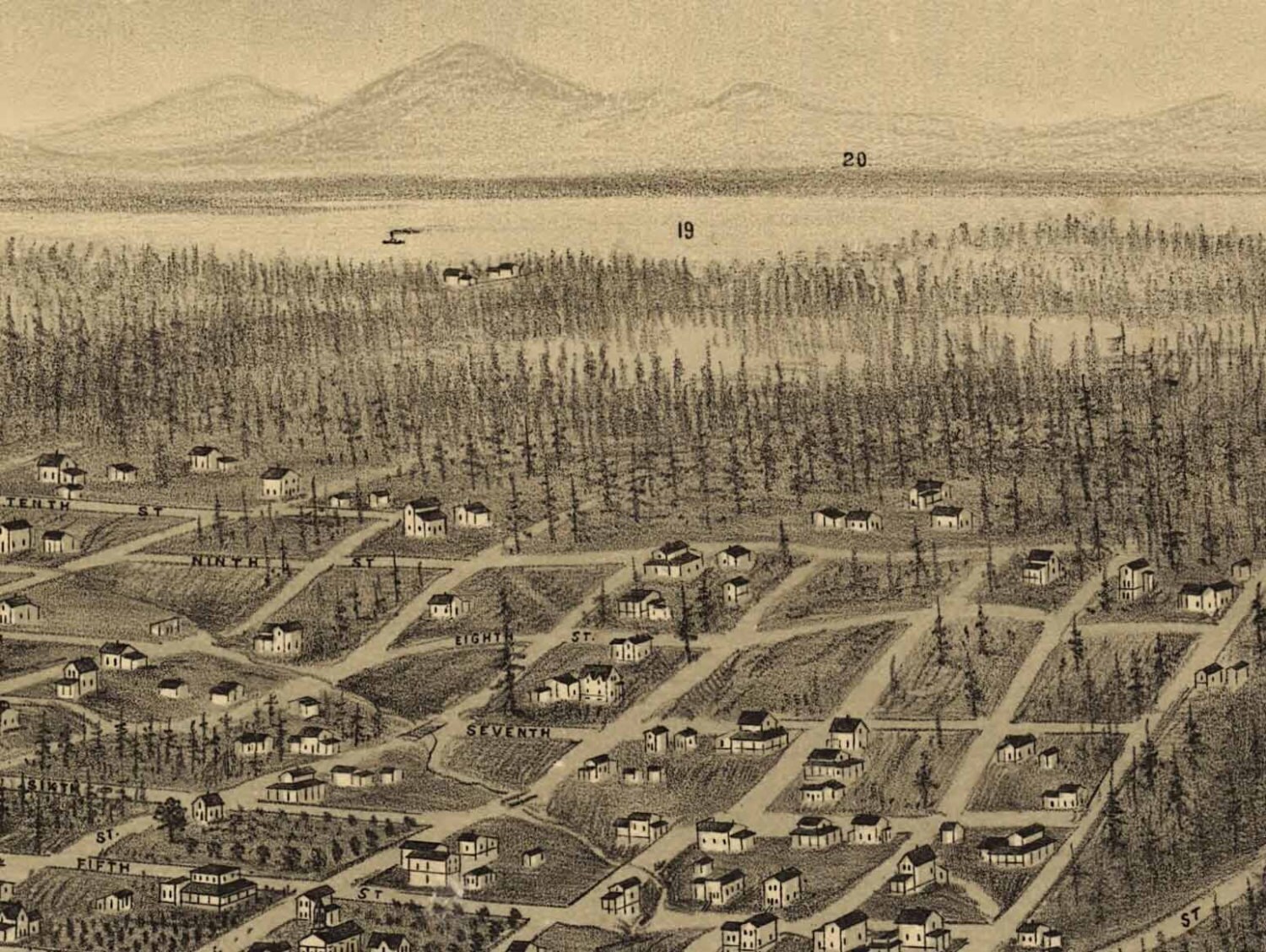 Seattle Washington Territory 1878 E.S. Glover Birds Eye | Etsy