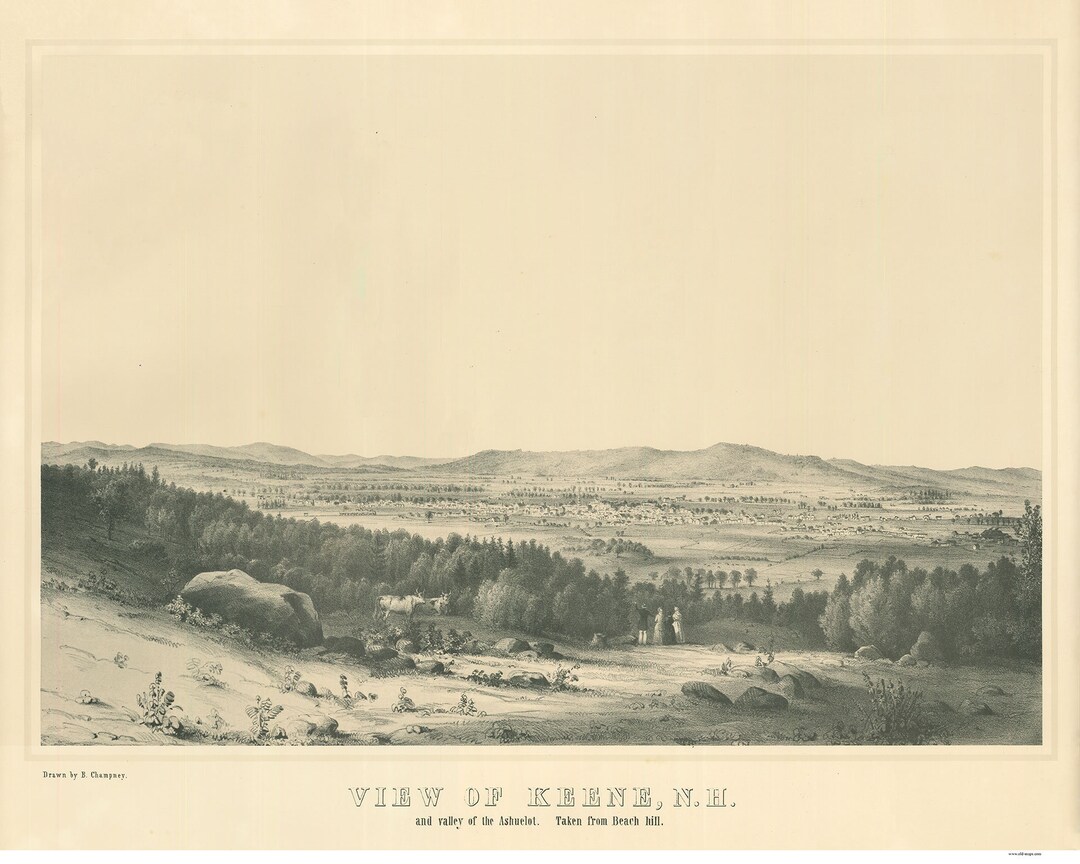 Keene 1850 Birds Eye View - New Hampshire Reprint (tinted) - Etsy