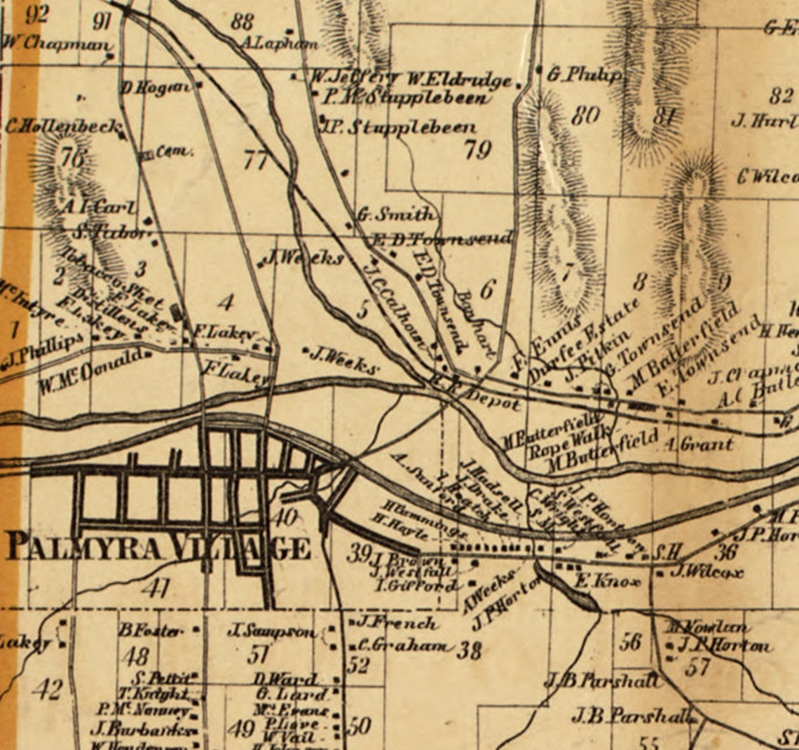 Wayne County New York 1858 Old Wall Map Reprint With - Etsy