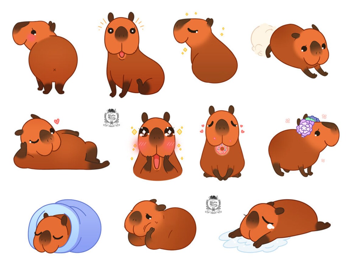 Cappie the Capybara Sticker Set - Etsy