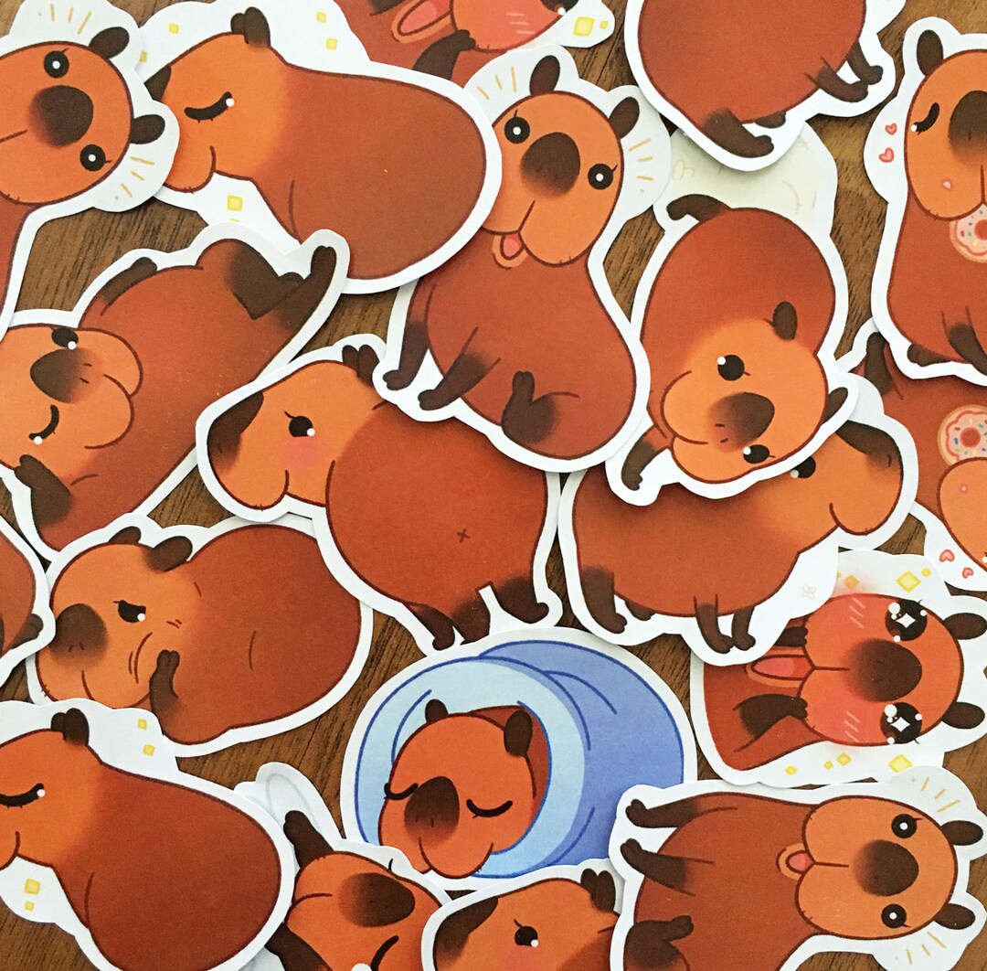 Cappie the Capybara Sticker Set - Etsy