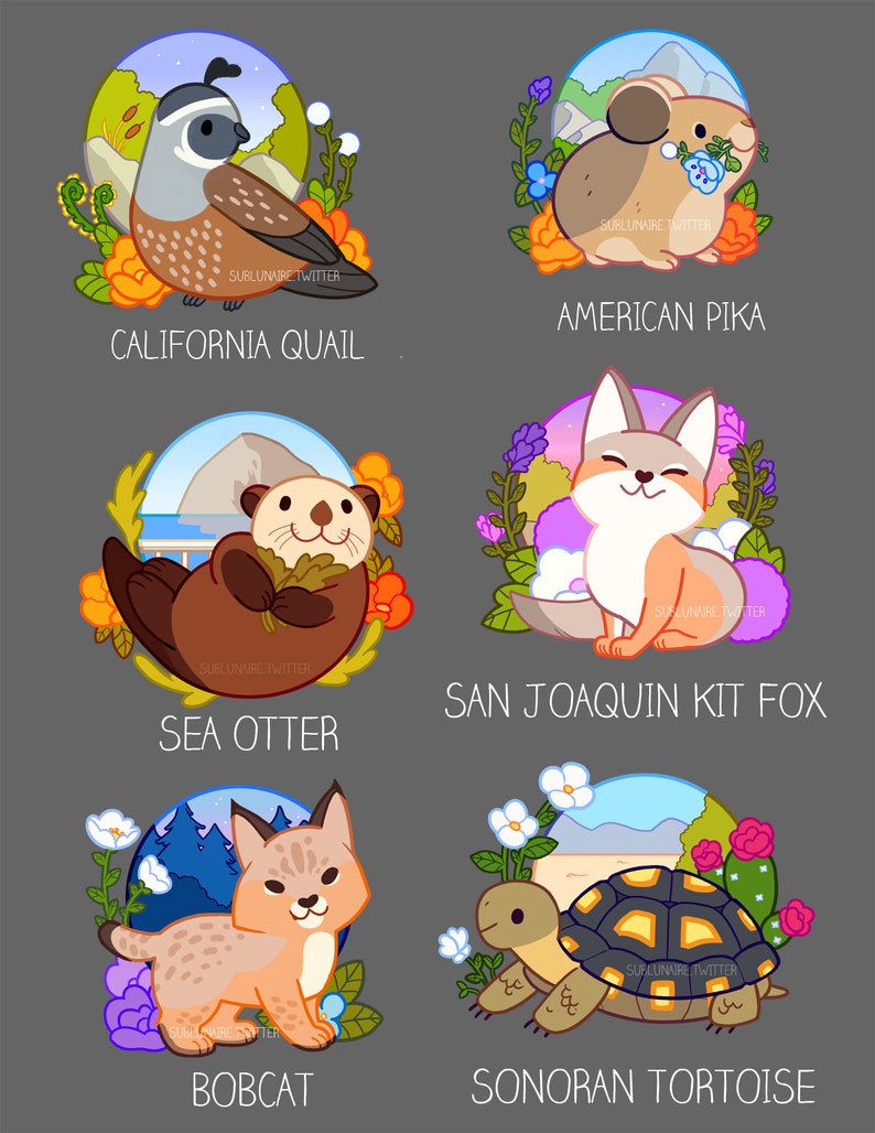West Coast Animals Sticker Set - Etsy