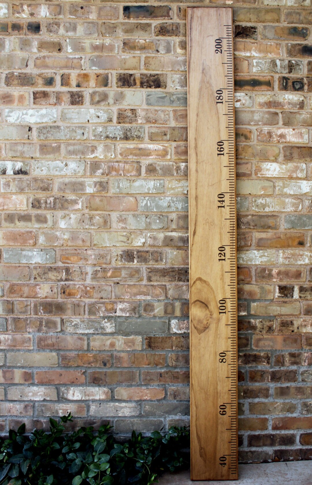 METRIC DIY Growth Chart Ruler Vinyl Decal Kit - Traditional Style - Etsy