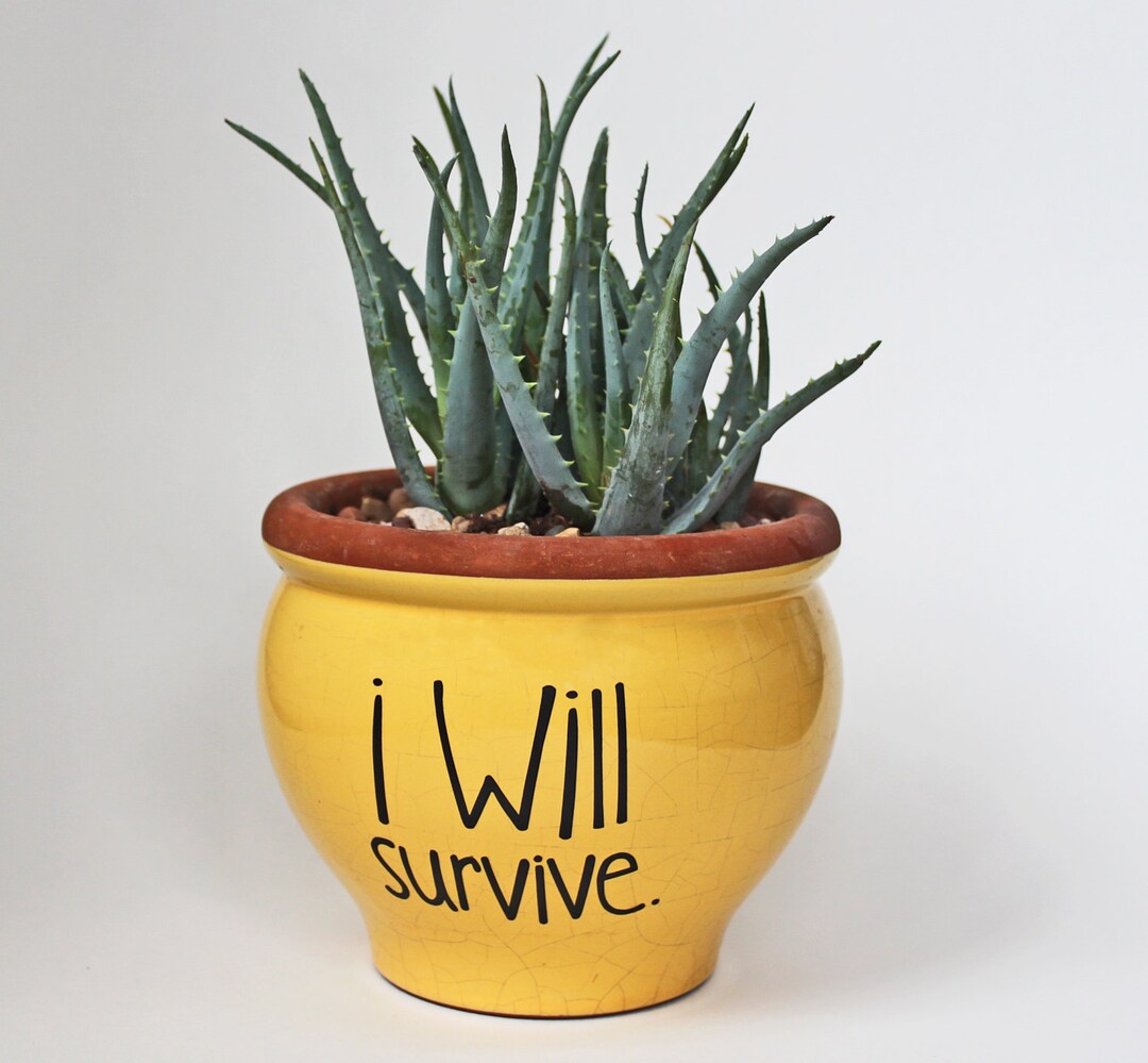 DIY Flower Pot Decal / I Will Survive / Spring Gift Idea / Planter ...