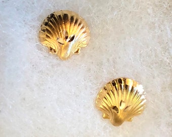 Engraved Shell - Etsy