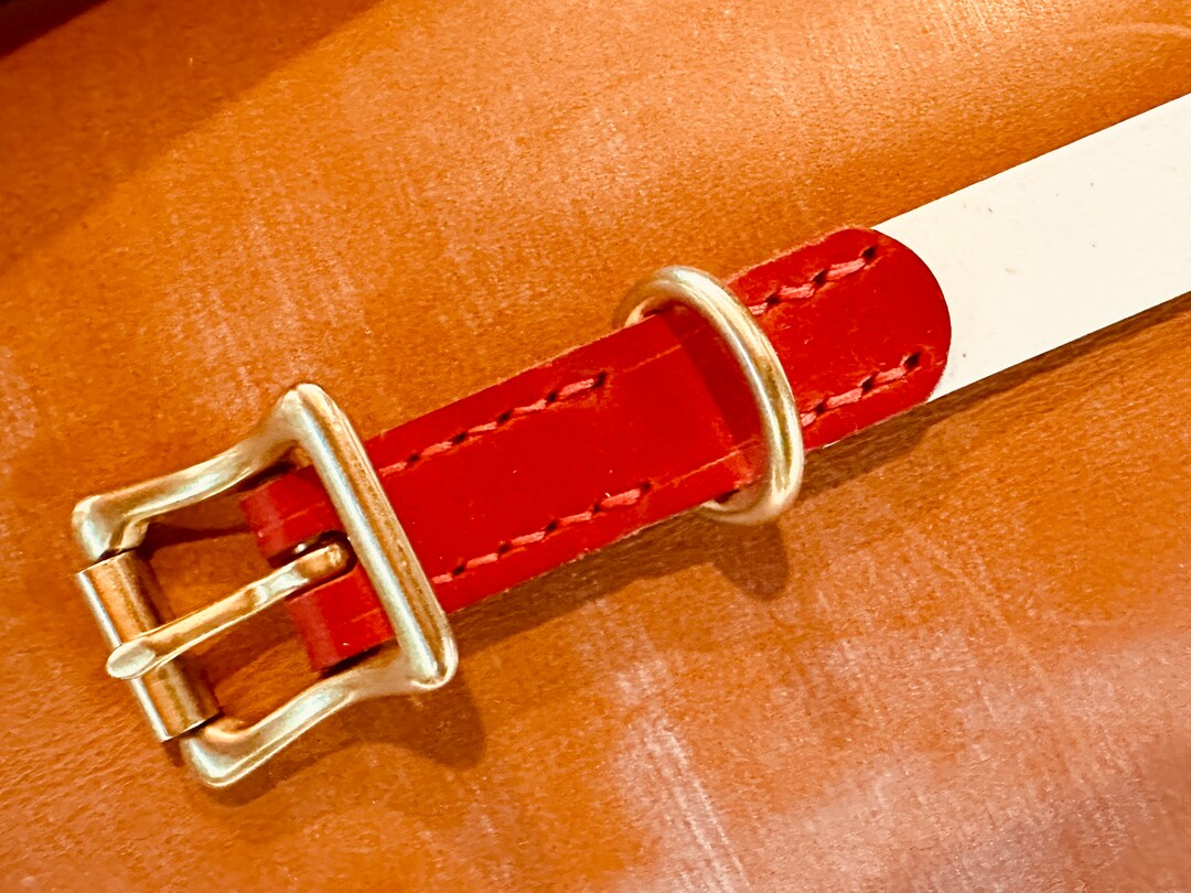 Leather and Biothane Dog Collar Leather and Biothane Resort - Etsy