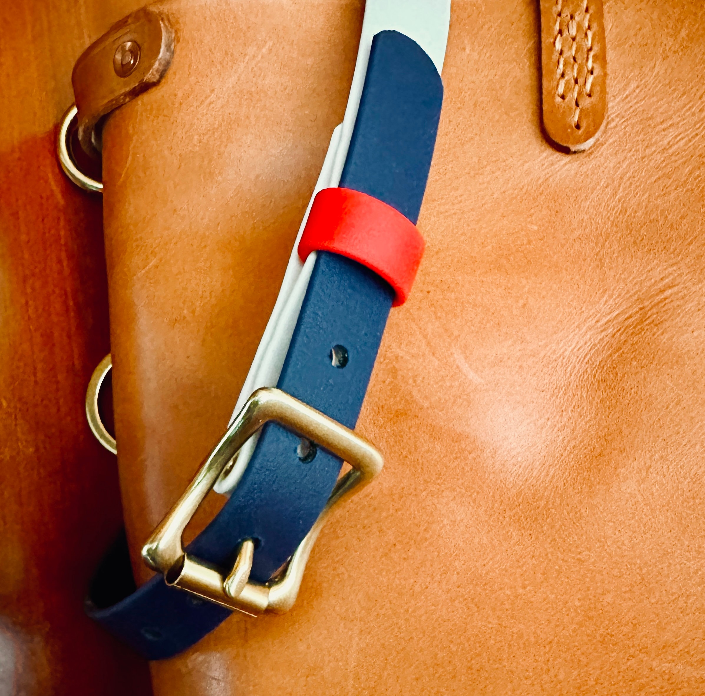 Waterproof Safety/field Collar Crisp White Marine Navy W/cherry Red ...