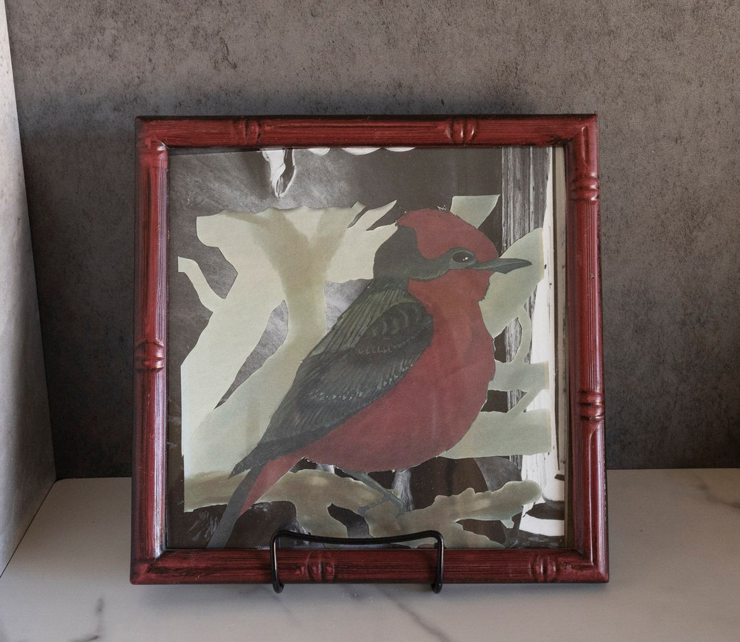 Vintage Robin/bird/cardinal in Wood Frame With Glass - Etsy