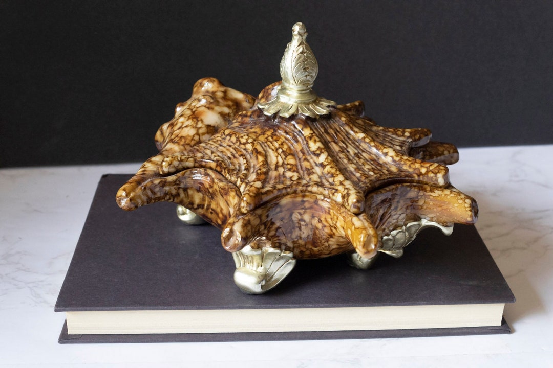 Brown Spotted Starfish Conch Shell Shape Resin Trinket Box With Lid - Etsy