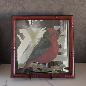 Vintage Robin/bird/cardinal in Wood Frame With Glass - Etsy